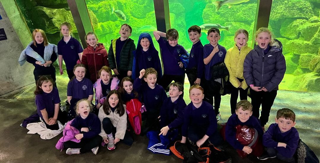 Second Class • Gaelscoil Mhic Amhlaigh